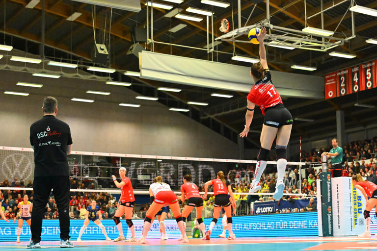 DSC: Schmetterlinge geben heute "volles Rohr" für den Meistertitel