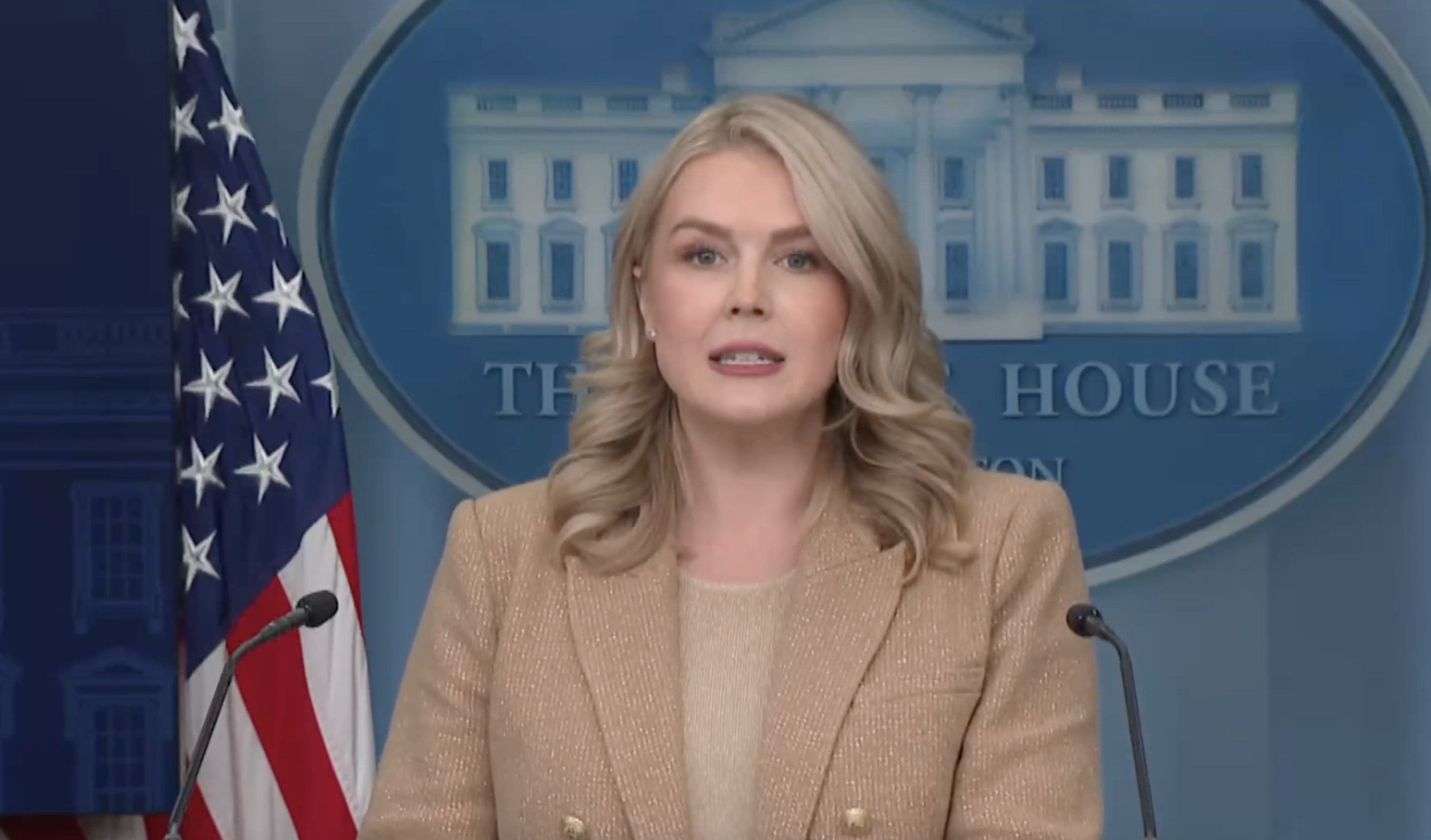 'They outright hate our country': Karoline Leavitt echoes Trump's ...