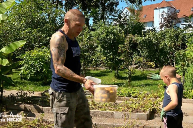 Kuriose Fragen beim Hochbeet-Befüllen: "Würde ich einen guten Kompost ...