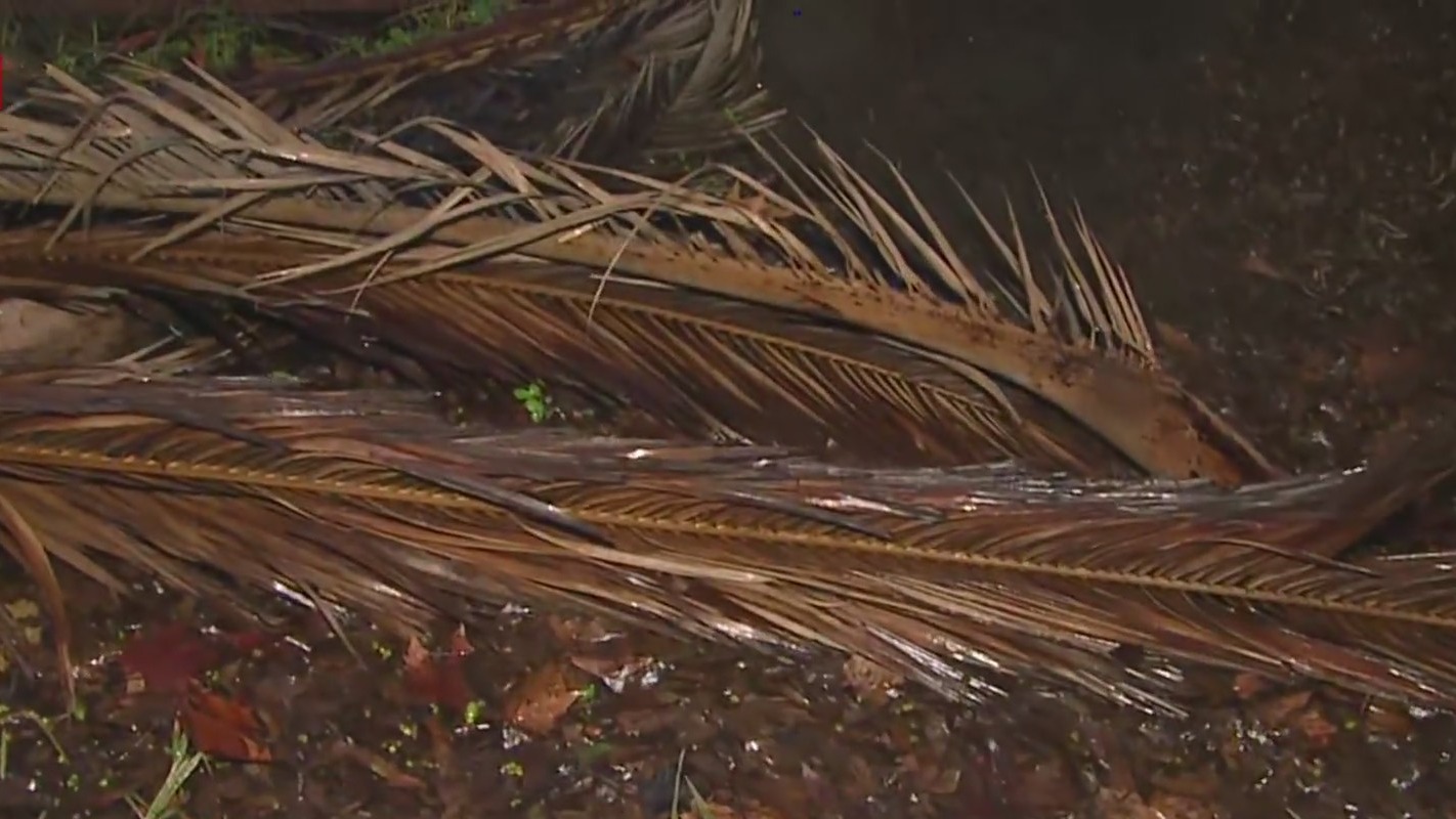 Storm cleanup underway in the Sacramento community