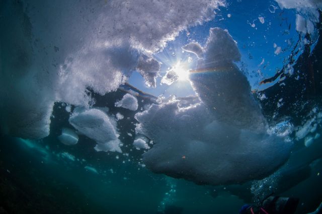 Scientists issue warning over troubling discovery on Antarctic ...