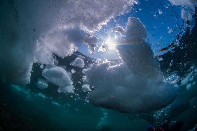 Scientists issue warning over troubling discovery on Antarctic ...