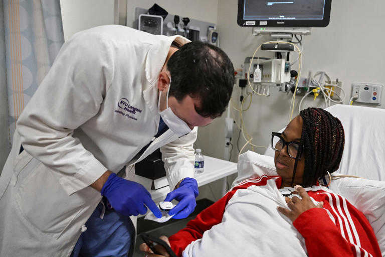 Doctors forced to remove pig kidney from patient – but transplant still ...