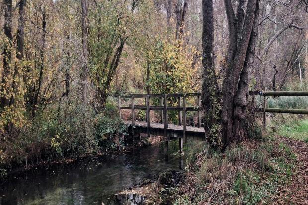 Walk of the week: A seven mile ramble up the River Dever at Sutton Scotney
