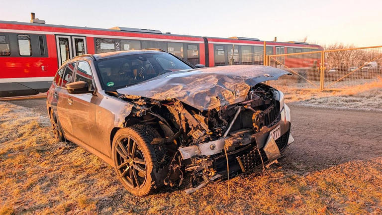 Tierische Lebensretter, fatale Pinkelpausen und tölpelhafter Waffen ...
