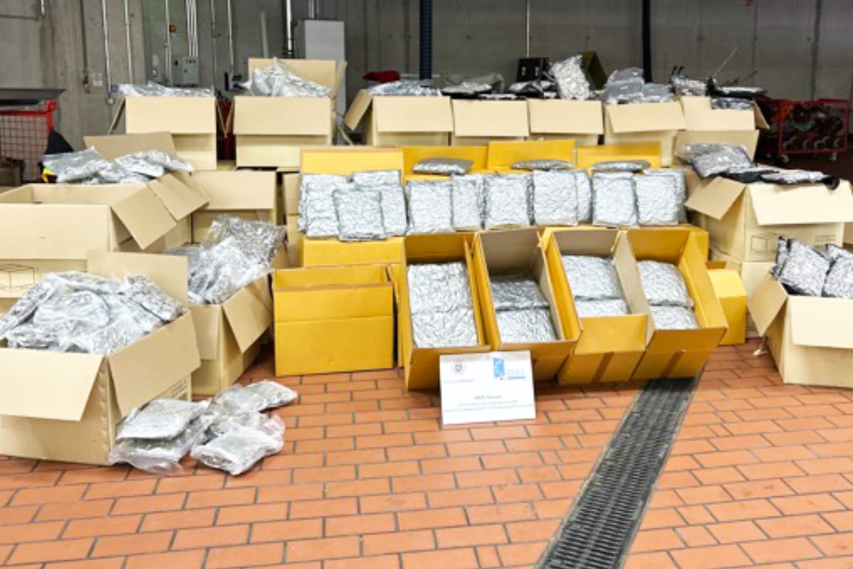 200 Kilogramm Kokain und rund 1,2 Tonnen Marihuana: Sechs Verdächtige ...