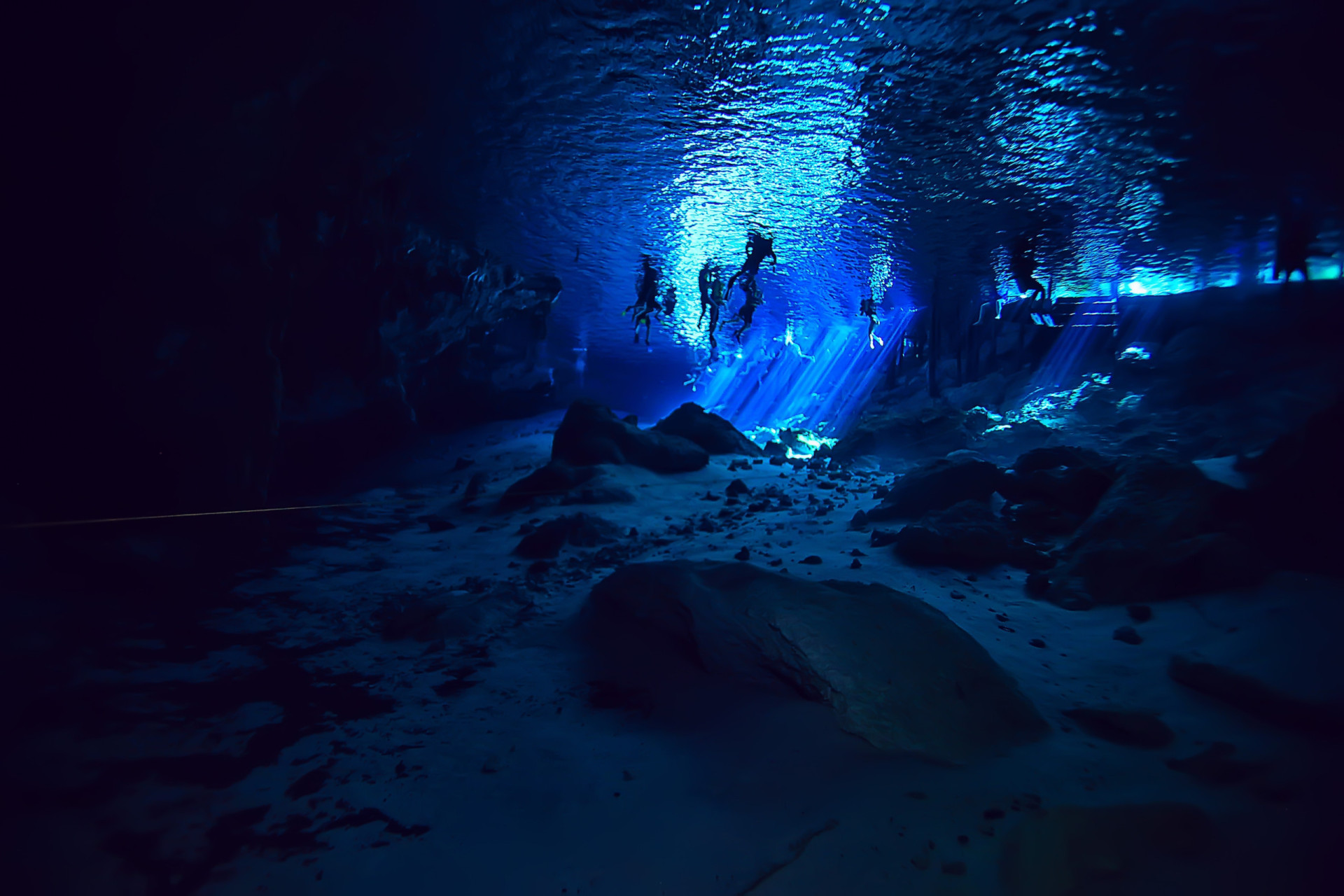 Strange discoveries found in unlikely locations