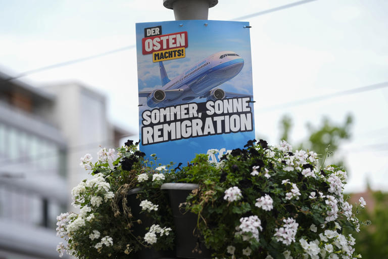 What is remigration, the far-right fringe idea going mainstream?