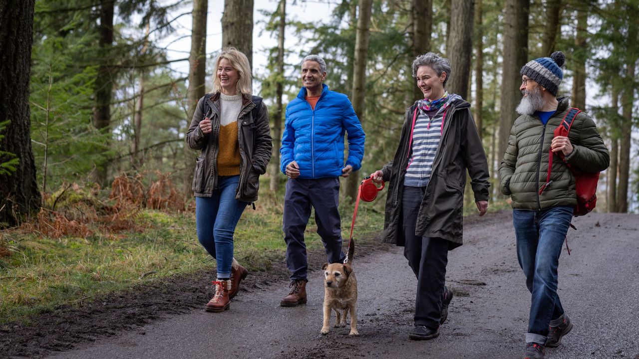 The power of a Boxing Day walk: 5 reasons to go for a gentle stroll ...
