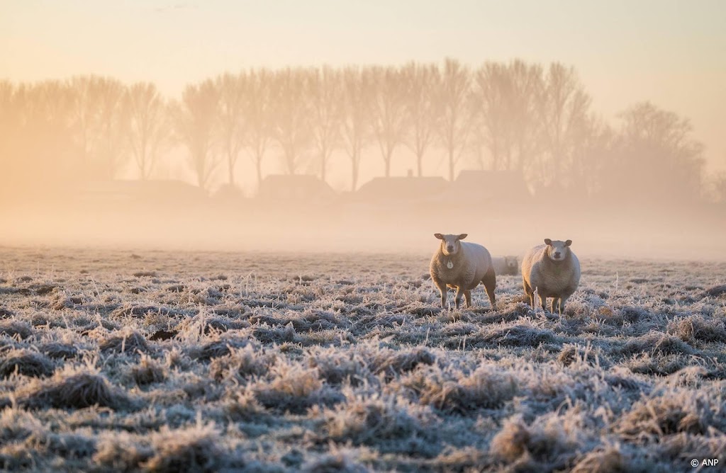 Eerste officiële matige vorst deze winter: -5,5 graden in De Bilt