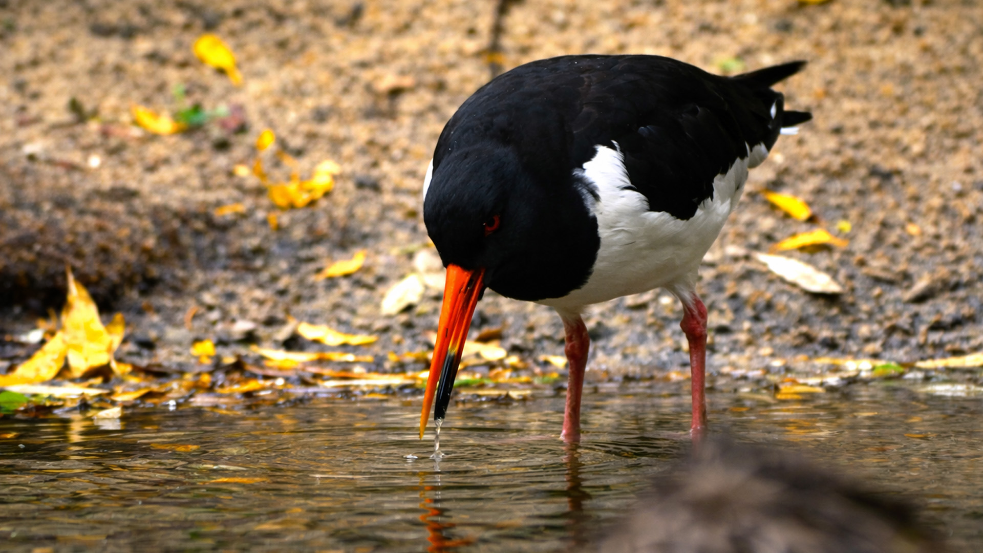 In een moment van bezinning vastgelegd