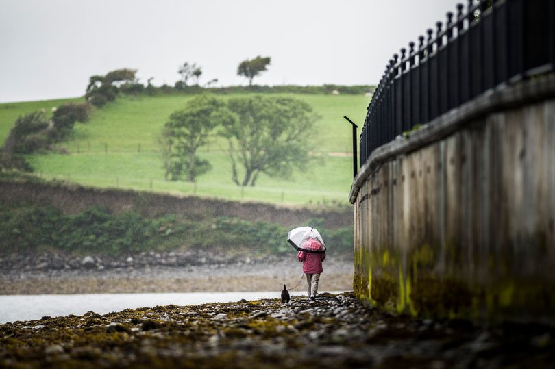 Ireland weather: National forecaster warns of wet conditions in New Year