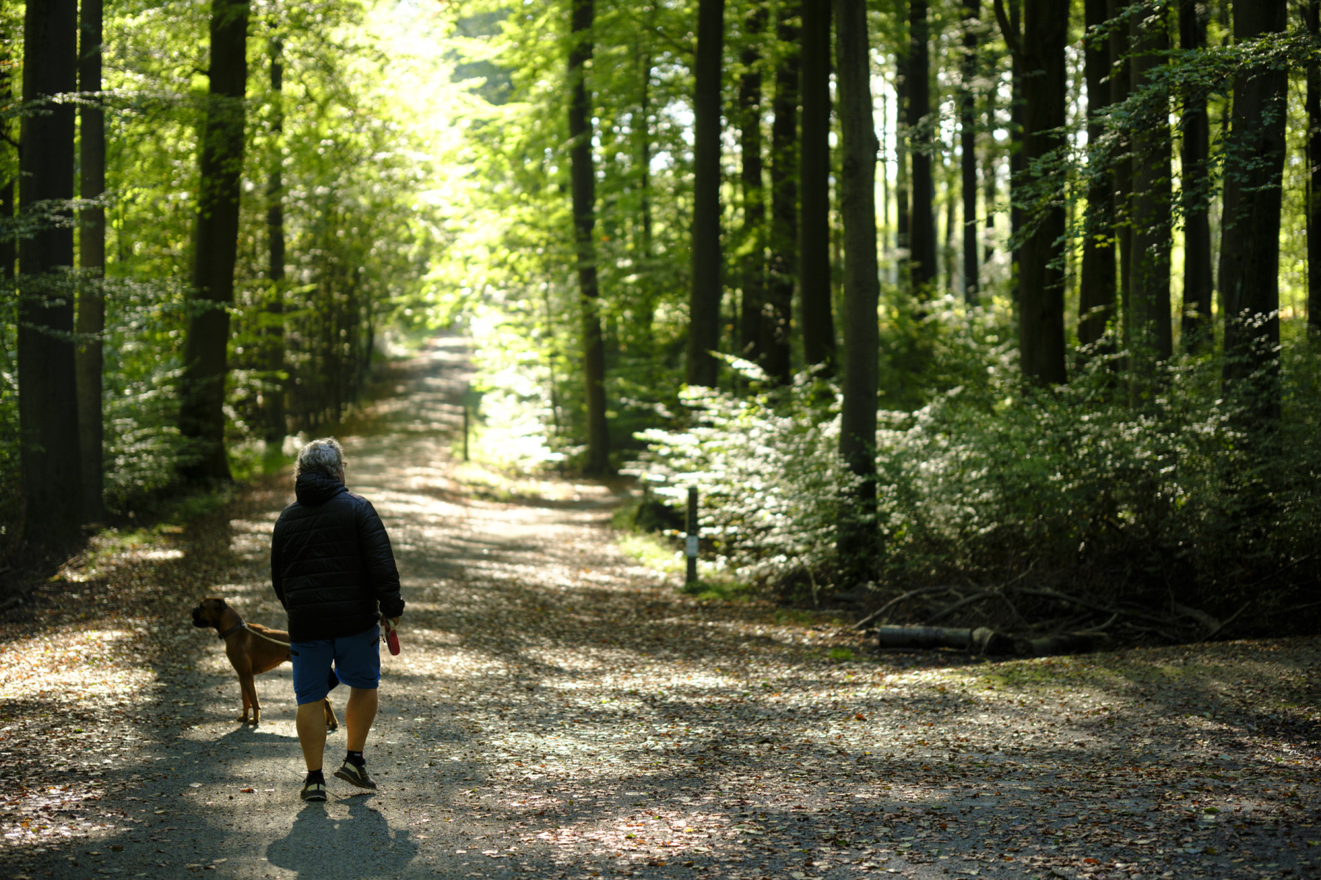 Friluftsliv: il concetto nordico del benessere legato alla vita all ...