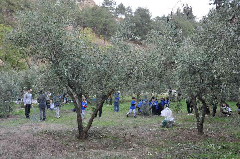 Manisa’da Zeytin 5.0 Projesiyle çocuklar hem öğrendi hem üretti
