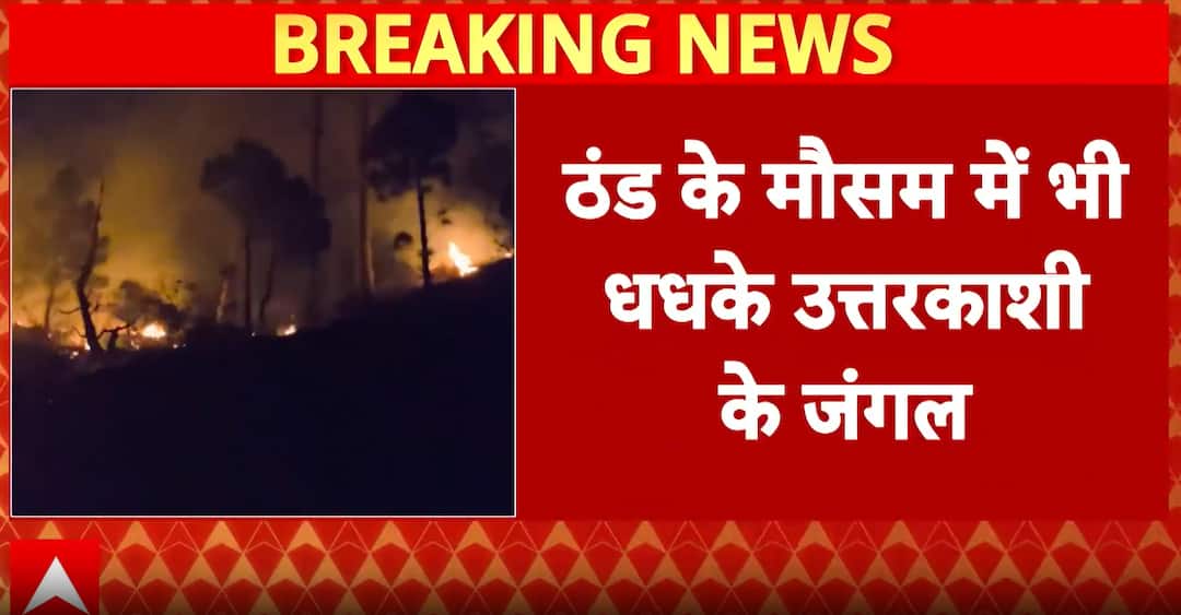 Breaking: Forest fire engulfs Uttarakhand in winter, sparks ...