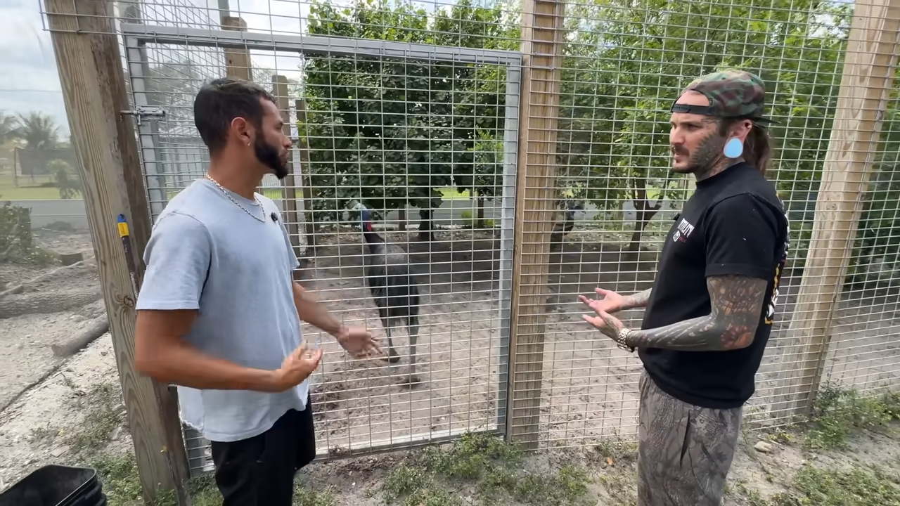 The moment the most dangerous birds reacted during a hand-fed meal