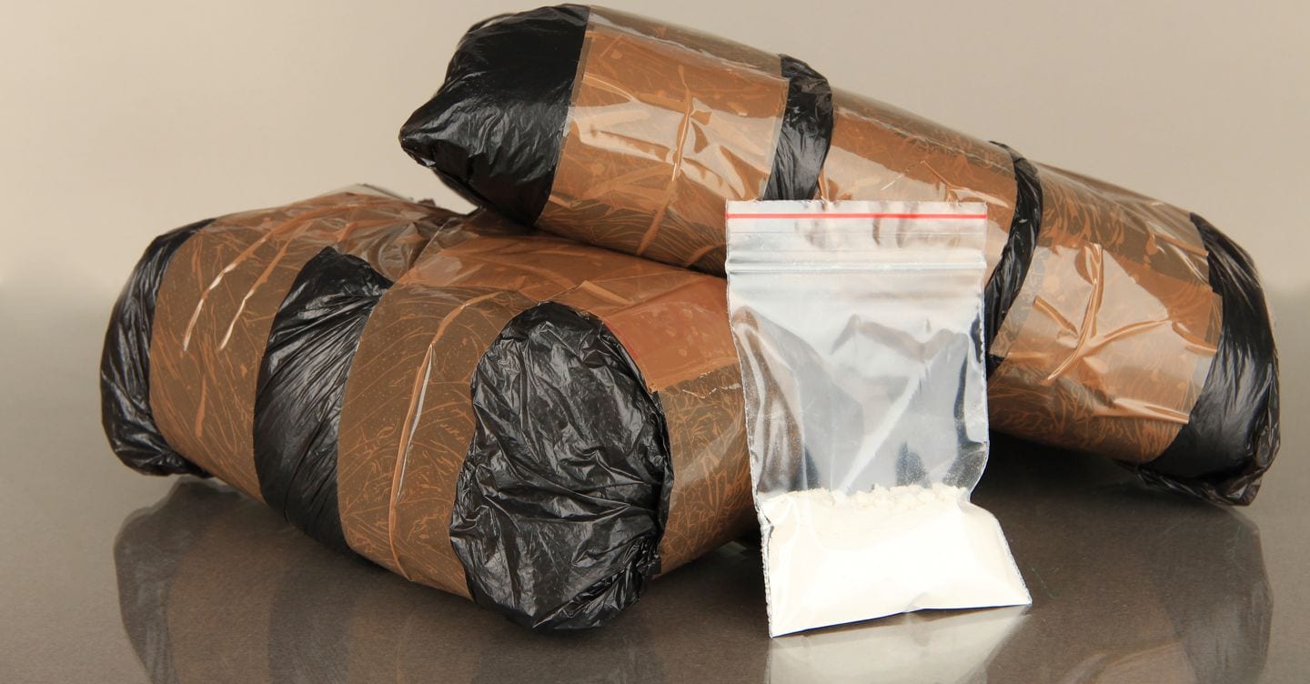 Tra i sacchi di noccioline 435 chili di cocaina per un valore di 70 milioni