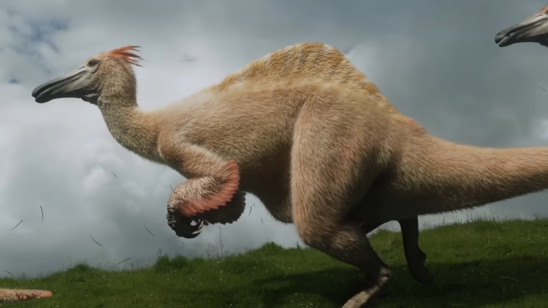 Dinosaurs, Meta, and survival: The hidden champion of the Cretaceous era