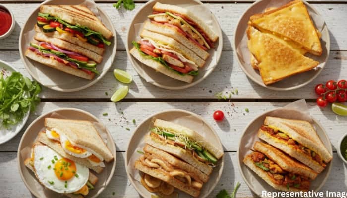 Delicious sandwiches: Crispy, soft, and flavorful creations for every meal