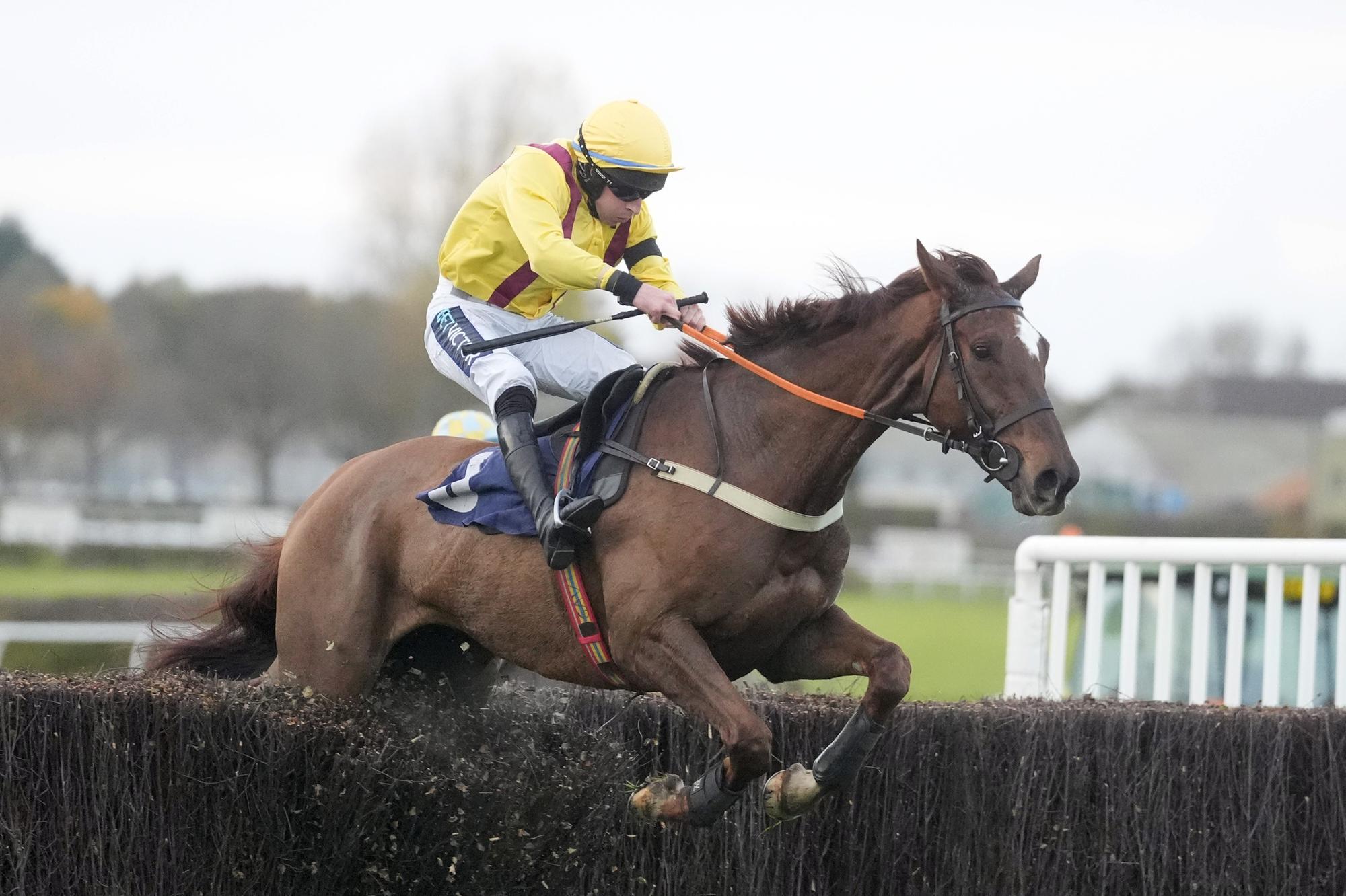 Konfusion is primed for tilt at Rowland Meyrick in Wetherby's Boxing ...