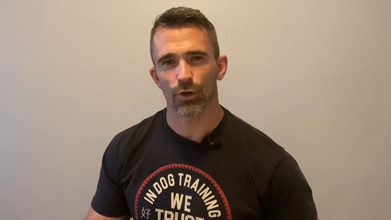 What Tom Rose says most people misunderstand about training their dogs