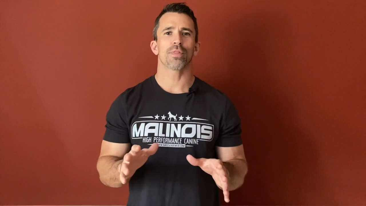 Bryan Callen steps into Nate Schoemer’s world of expert dog training