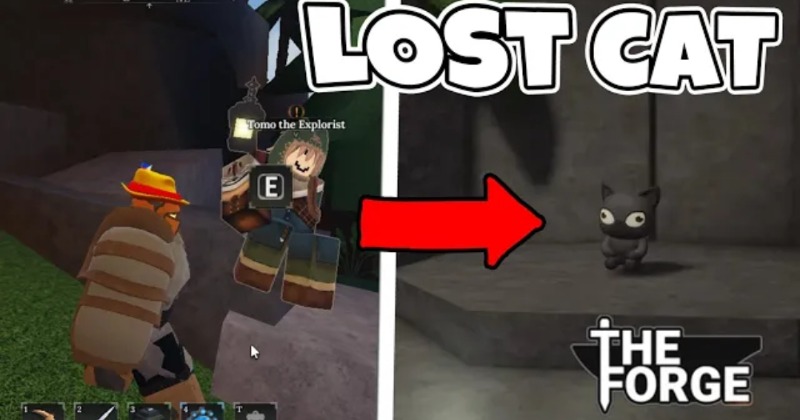 The Forge: Tomo’s lost cat quest requirements & location