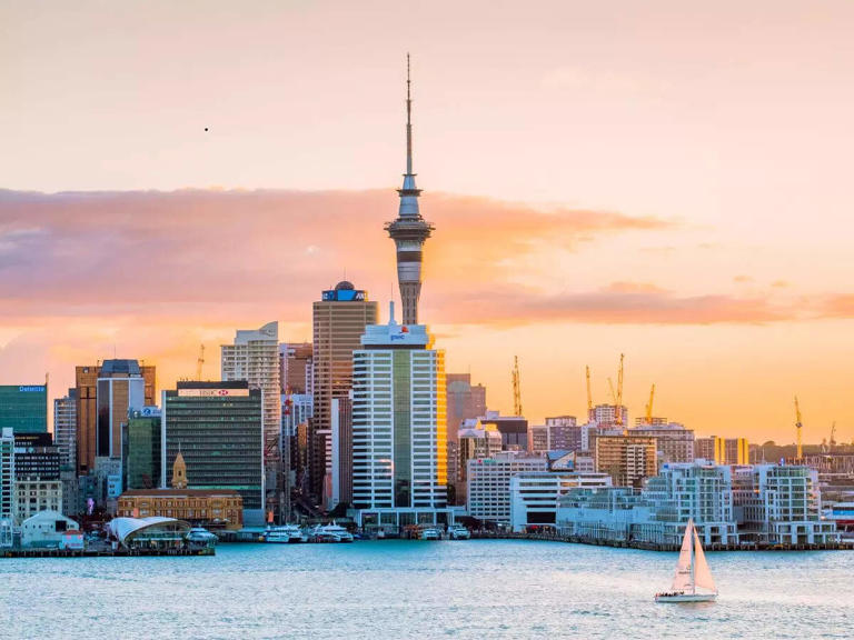 Why New Zealand is a smart choice for students in 2026: Expert explains ...