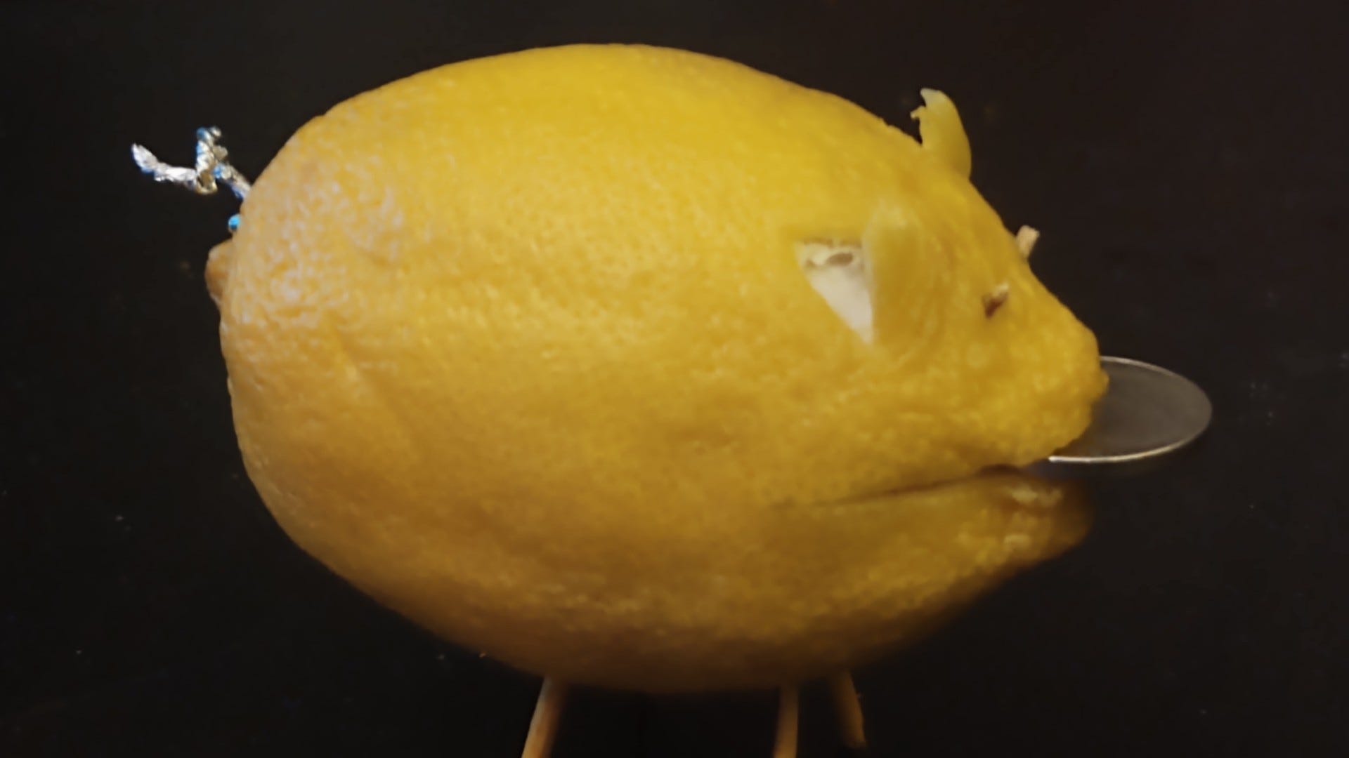 Lemon pig for luck! Where did the newest New Year's custom come from?