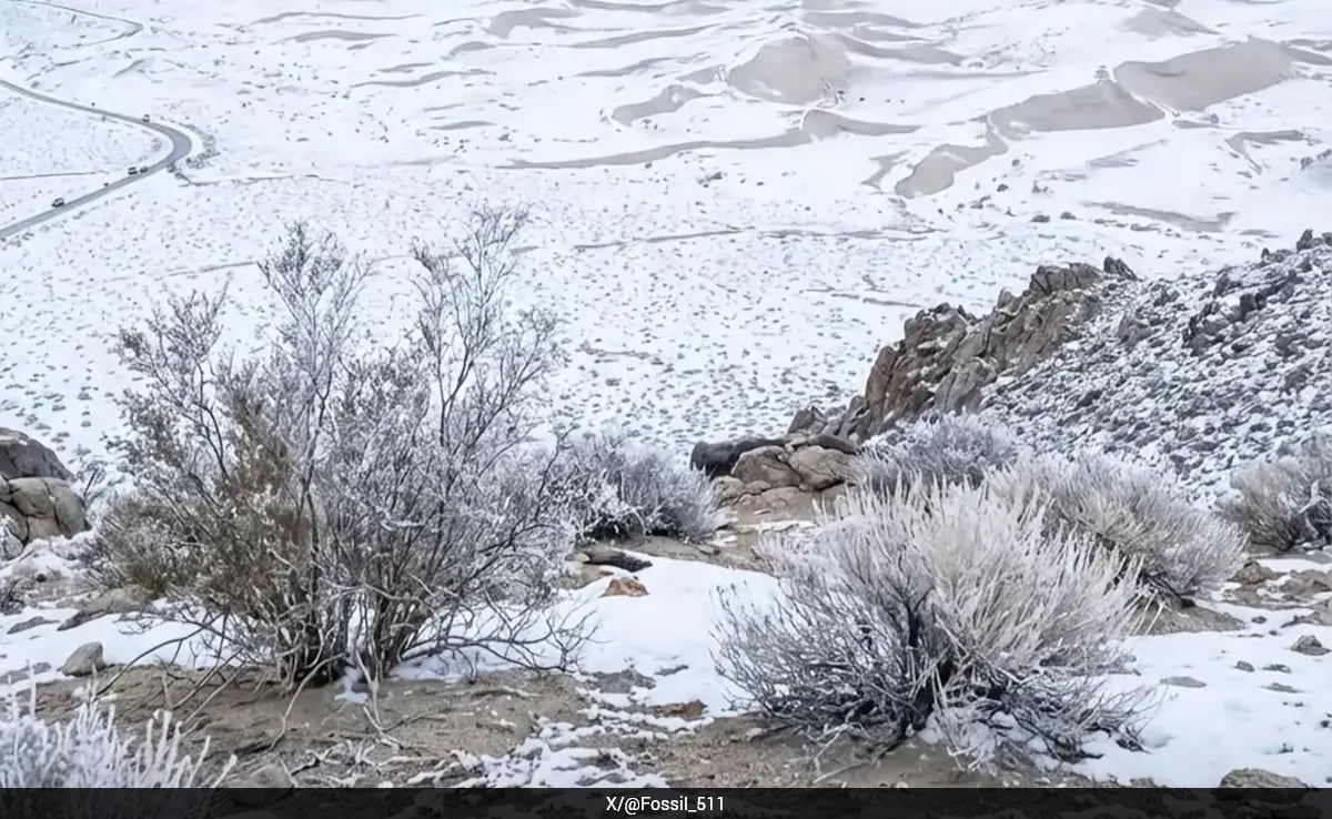 Saudi Arabia Sees First Snowfall 3 Decades, Iceland Records 20 Degree ...