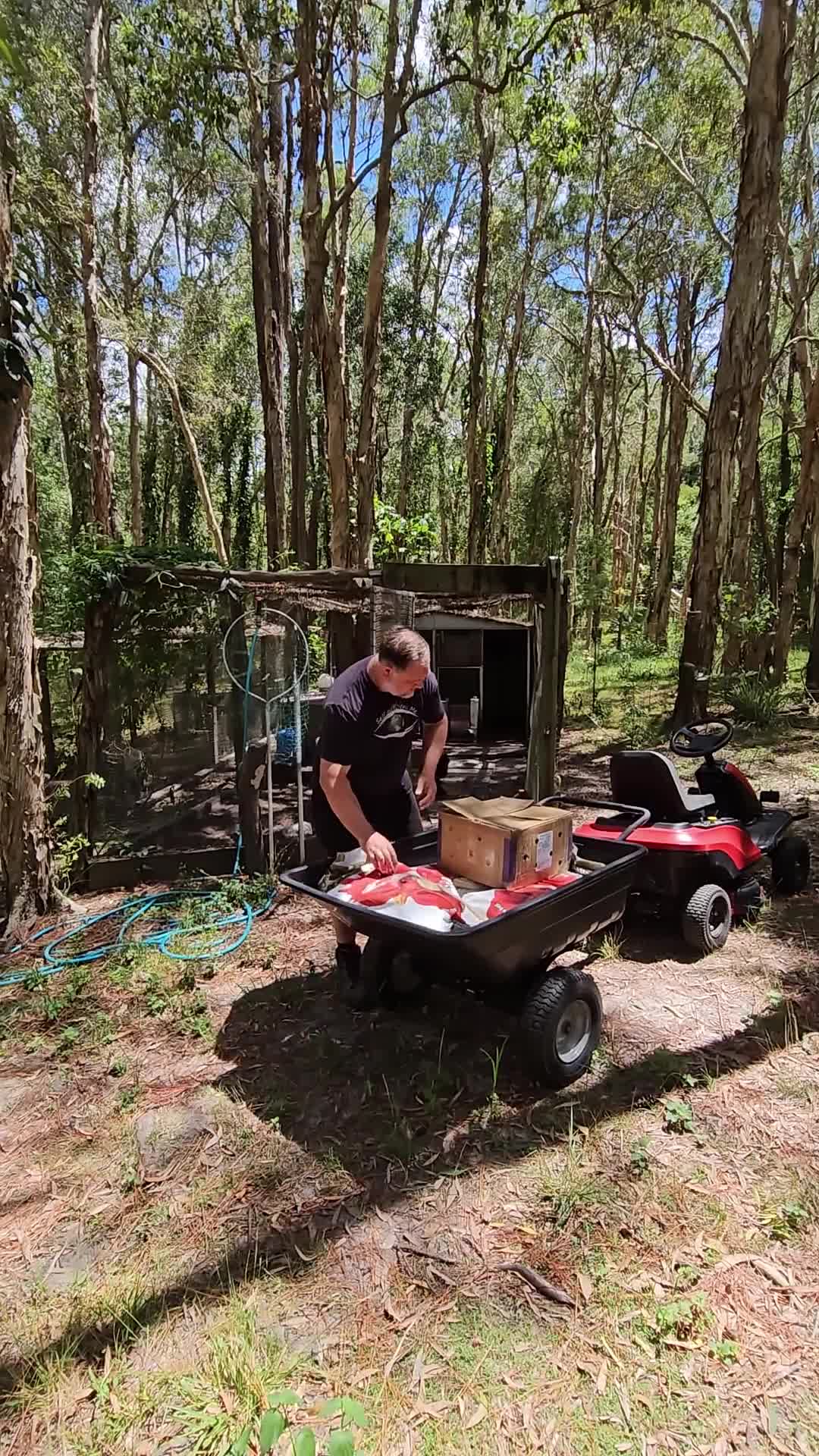 Another great reason for keeping chickens