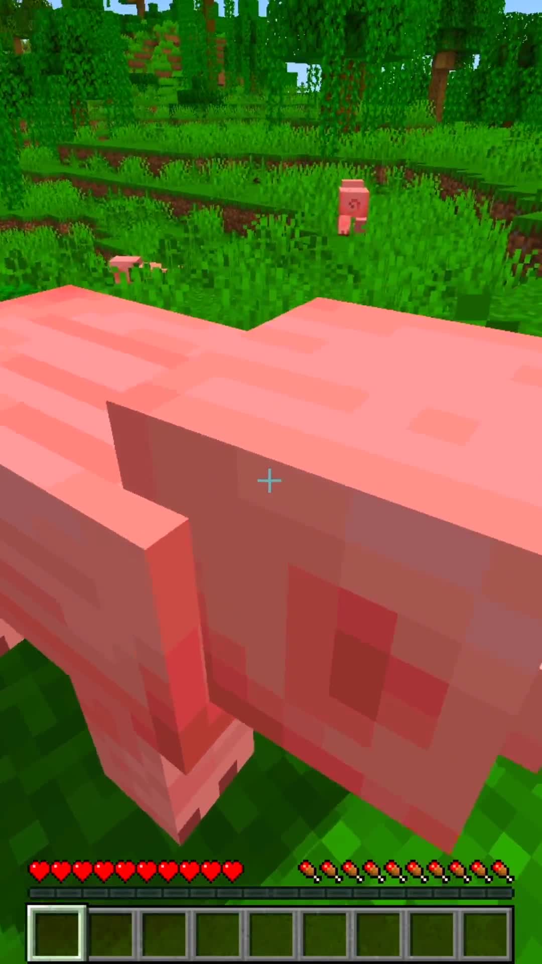 Adivina el mob en menos de 50 segundos