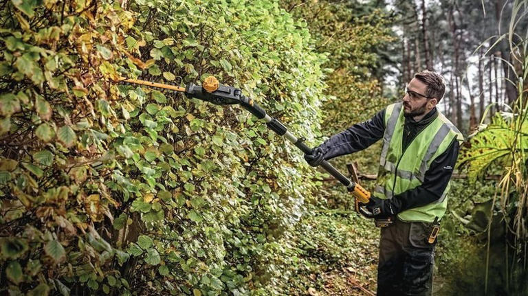 The new DEWALT tools coming in 2026 that'll keep your hedges looking ...