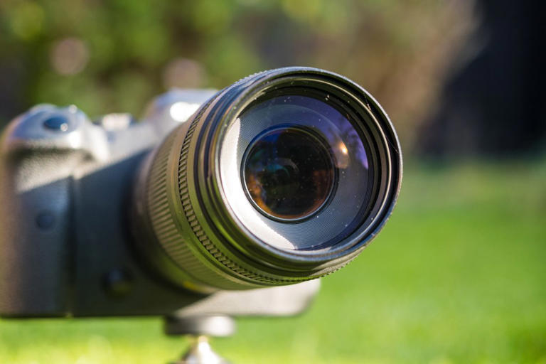 Canon RF 75-300mm F4-5.6 review – barebones telezoom