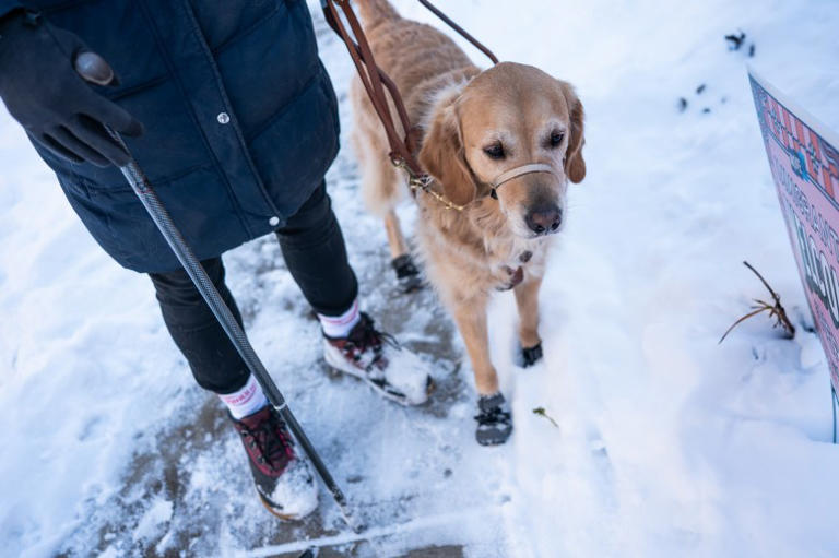 I haven’t seen the world through my eyes since a snowy day in 1969