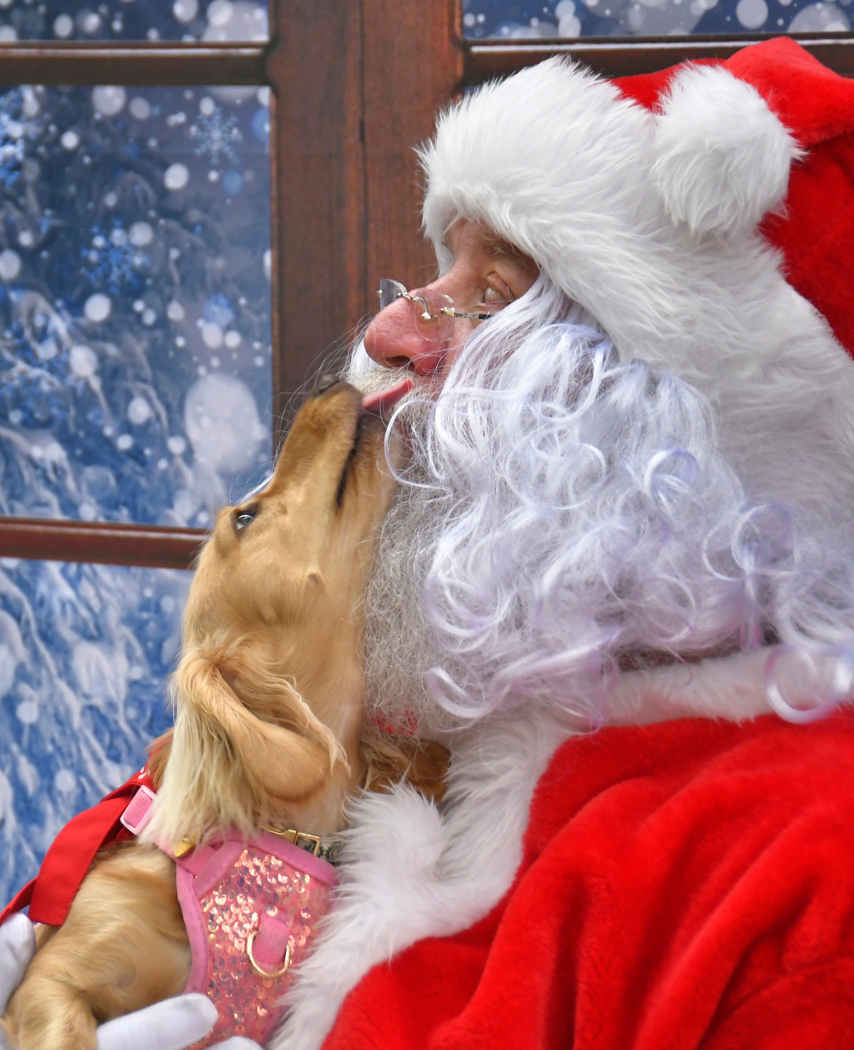 Florida Today visual journalist Tim Shortt's favorite photos of 2025