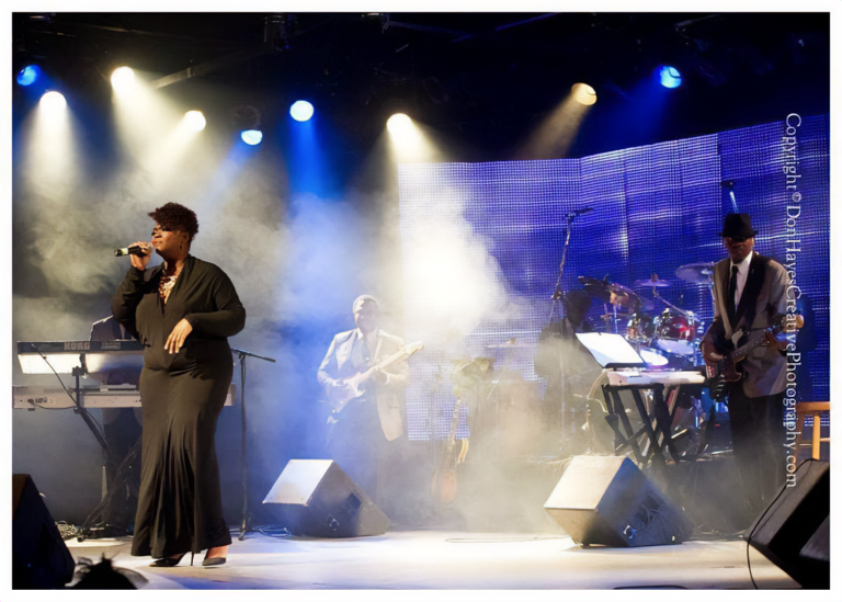 Looking for fun events? Top 5 things to do around Tallahassee