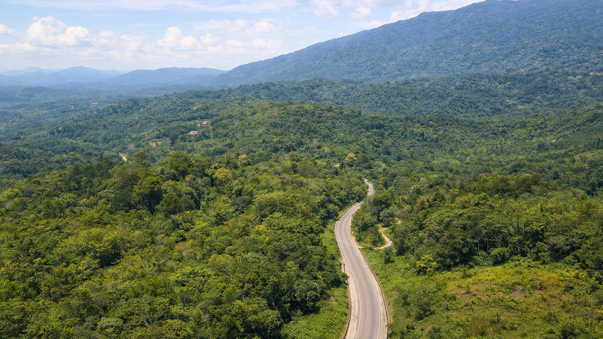 La strada verde della Malesia
