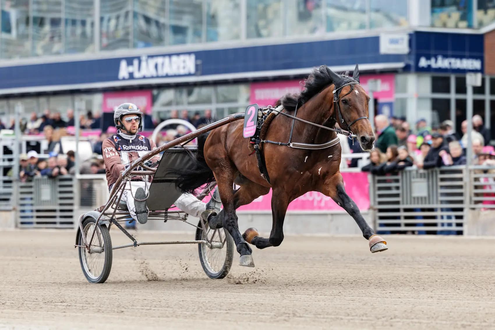Päivän ravit: Suomessa ravien pariin palataan Seinäjoella – Solvallassa ...