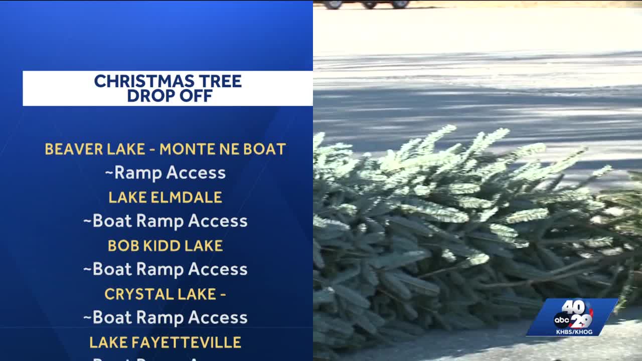 Arkansas Game and Fish Commission offers Christmas tree drop off sites