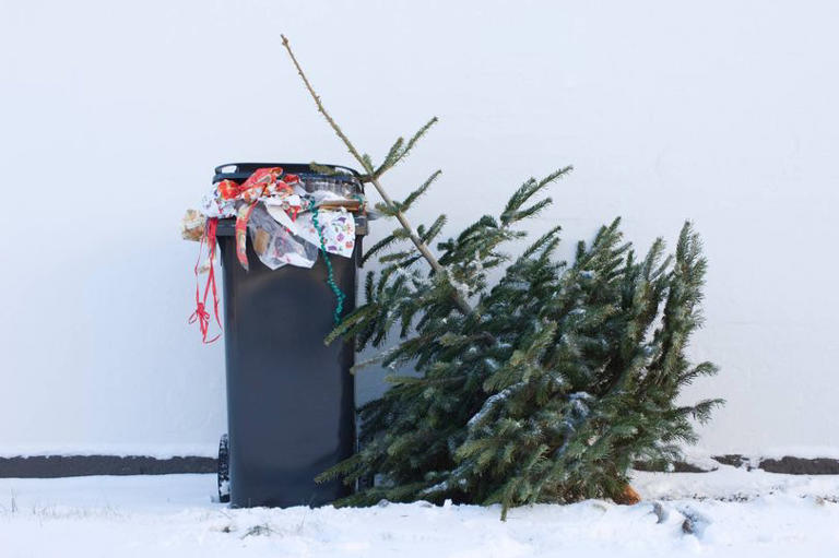 UK council £200 fine warning if you recycle these Christmas items