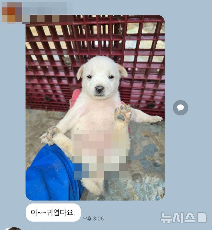 Naju City Council suspends member over inappropriate puppy photo