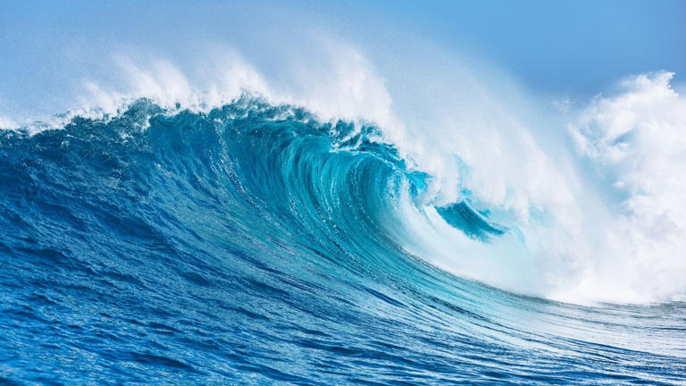 Which ocean is known as the king of oceans?