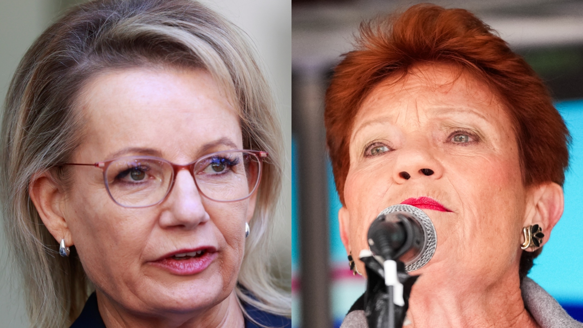 Polling shows Coalition losing ground to One Nation among older voters