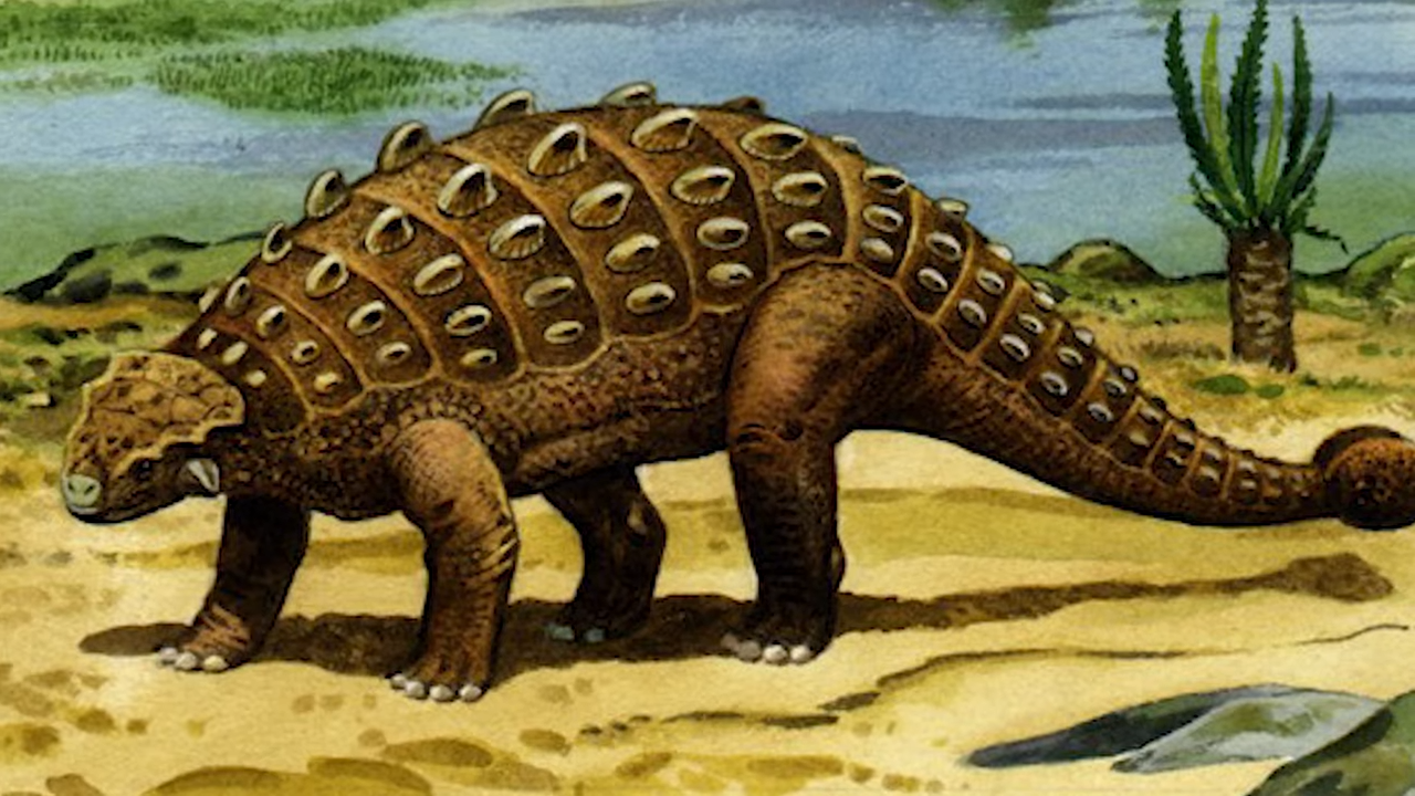 PiInside the life of the Cretaceous dinosaur built like a natural ...