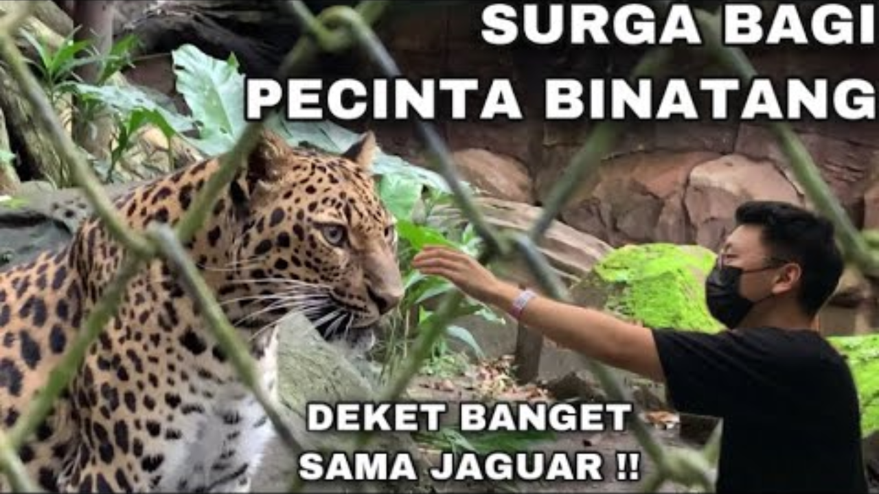 Berinteraksi langsung dengan hewan-hewan keren di surga pecinta hewan ini