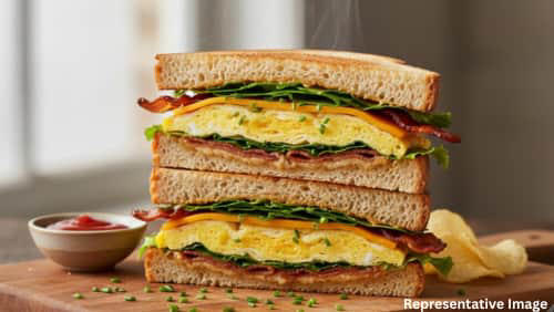 Delicious sandwiches: Crispy, soft, and flavorful creations for every meal