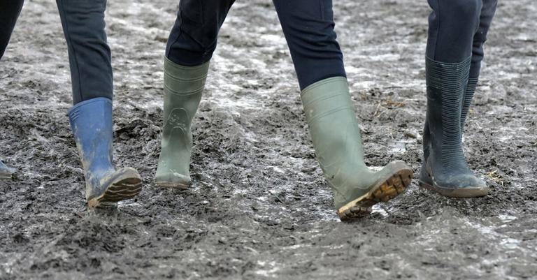 The big weekend Christmas quiz 2025: 100 questions to test your general ...