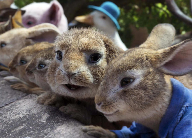 Taking it easy at home on St Stephen's Day? Here is what's on the TV