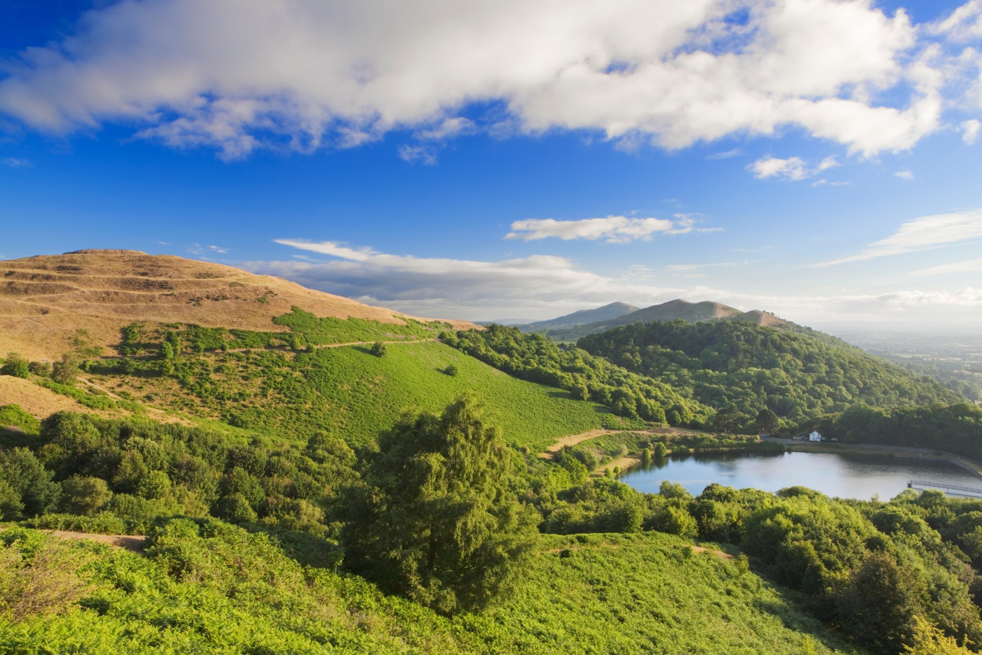 Join the Metro Lifeline Challenge for a great cause